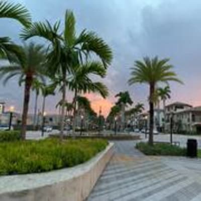 New, Clean lines, Well Light, Quiet Beautiful Greenery Lines the Street ...