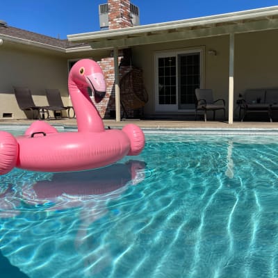 Midcentury Bungalow with In-ground Pool, Lodi, CA | Event | Peerspace