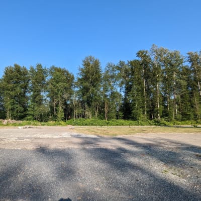 Beautiful Hazelnut orchard with Pond and Tree trails, Aldergrove ...