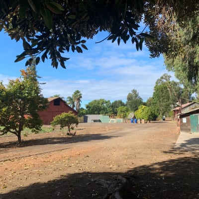 The Rad Ranch. Goleta the Goodland, California, Goleta, CA | Event ...