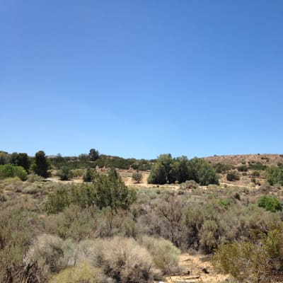 Classic Western Desert Land w/Joshua Trees, Palmdale, CA | Production ...