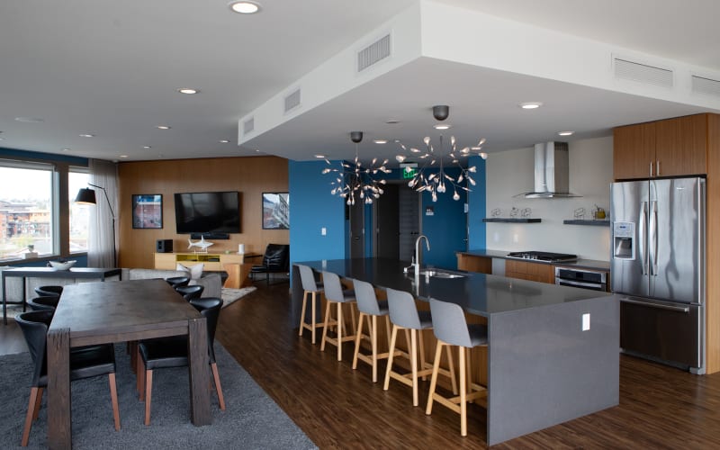 Ballard Skyline Lounge with Mountain Views, Seattle, WA | Off-Site ...