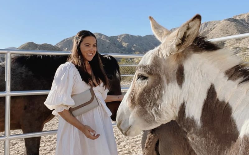 Large modern ranch with animals near Joshua Tree - Photo & Film ...