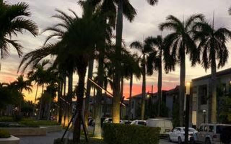 New, Clean lines, Well Light, Quiet Beautiful Greenery Lines the Street ...