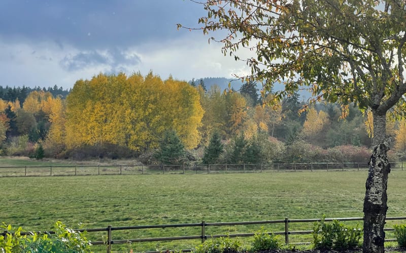 Spacious Ranch with Barn & Endless Fields, Parksville | Production ...