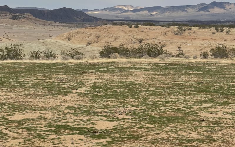 Gorgeous desert property overlooking the Mojave Trail, National ...