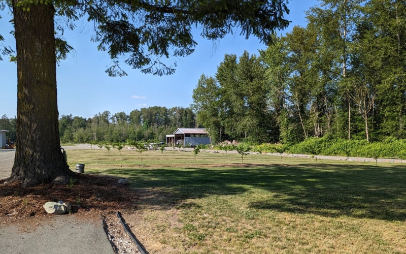 Beautiful Hazelnut orchard with Pond and Tree trails, Aldergrove ...