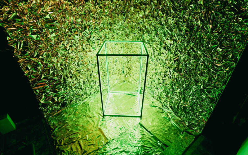 Golden Impala recording studio | Vibrant Color-Changeable Video ...