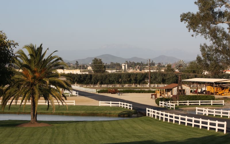 Historical Murrieta Ranch with Race Tracks, Murrieta, CA | Off-Site ...