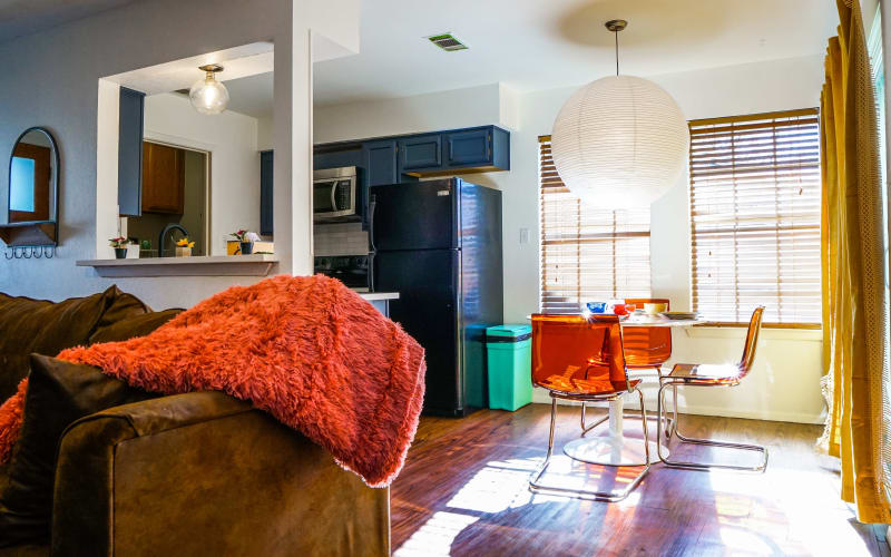 Designer Austin Apartment full of Creative Decor, Austin, TX ...