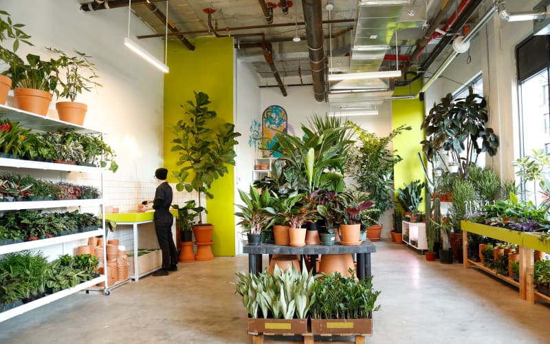 Experiential plant showroom with a glass greenhouse (4500 sq.ft), BROOKLYN, NY | Production ...