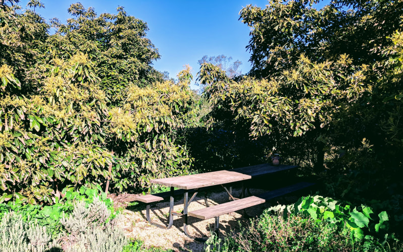 Biodiverse Regenerative Urban Organic Farm, Greenhouses and Orchards ...
