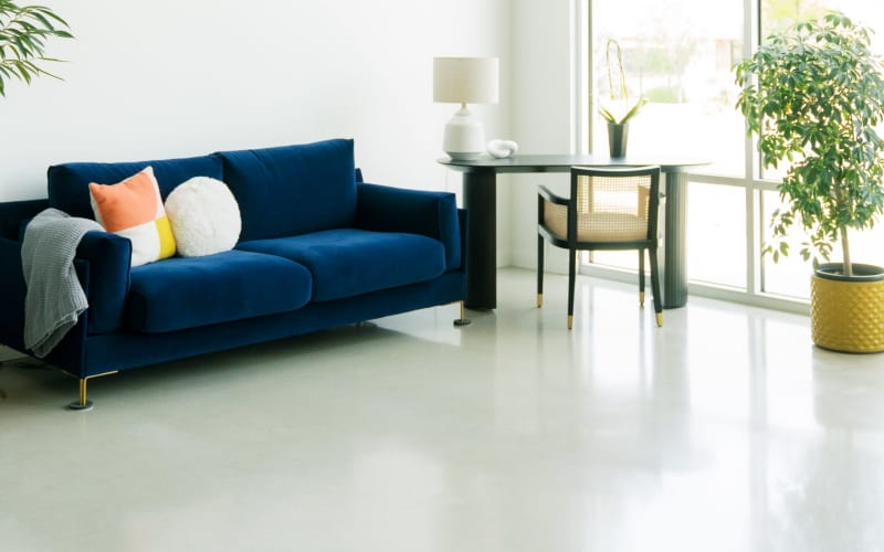 Alight Collaborative | Bright, high-end, natural light creative studio ...