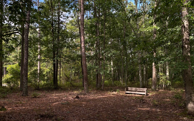 Large Wooded Area with Unique Spaces, Berlin, NJ | Production | Peerspace