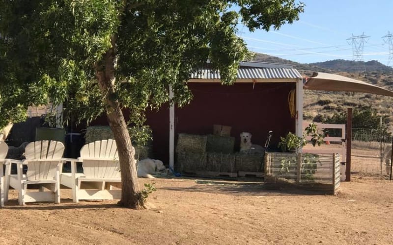 Small Sheep Ranch in the High Desert, Palmdale, CA | Production | Peerspace