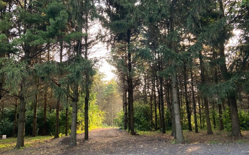 Farmette with pine grove and beautiful farm land views., Hampshire, IL ...