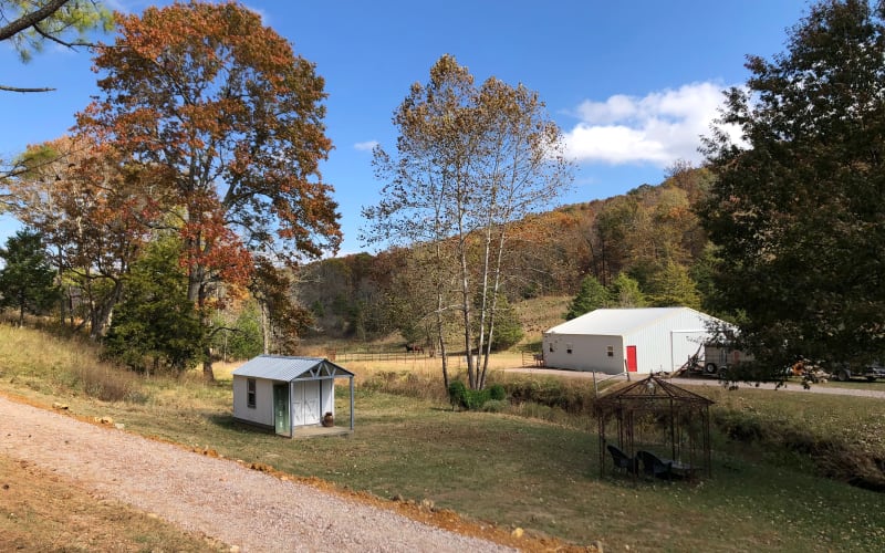 AMORanch - Arkansas, a 245 acre movie, cattle, horse and hunting ranch ...