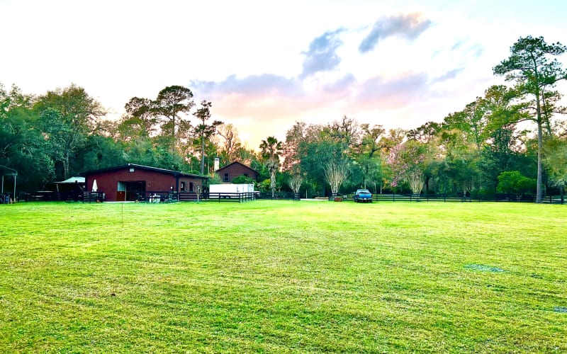 Rustic botanical setting on 7 acres of Old Florida. Mini farm animal ...