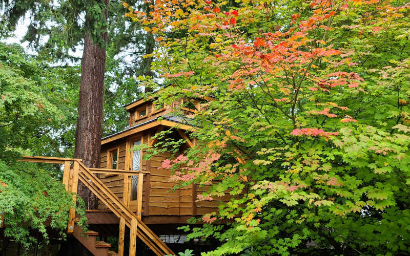 Bohemian Treehouse in Seattle, Seattle, WA | Production | Peerspace