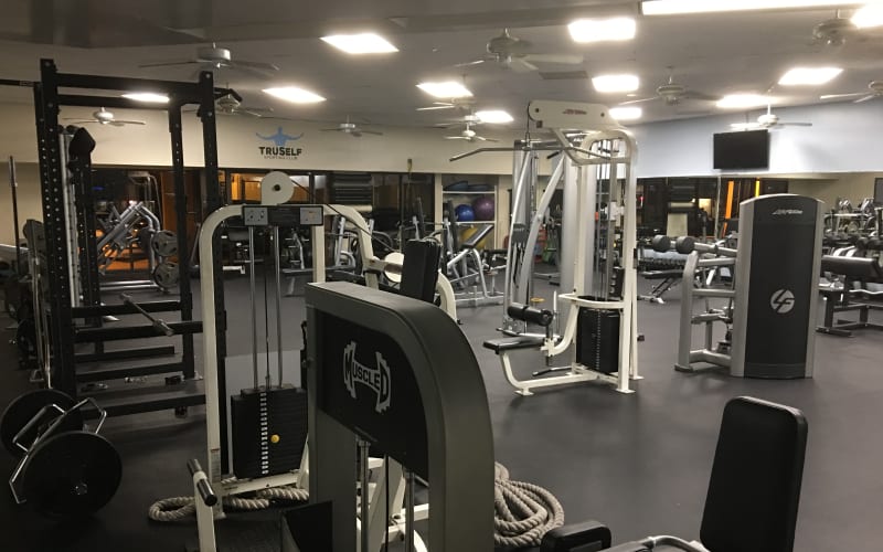 New Gym Space, Group Exercise Room, Weight Room, Locker Rooms, Cardio ...
