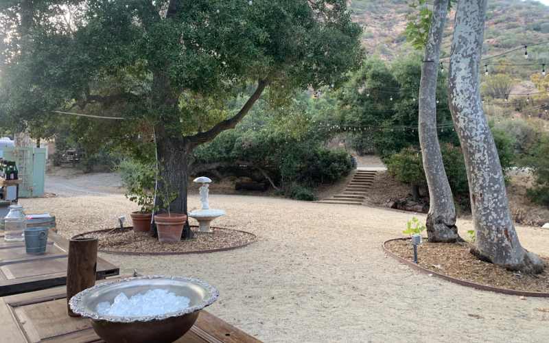 Restoration Hardware tables under 1000 year old oaks trees beside a ...