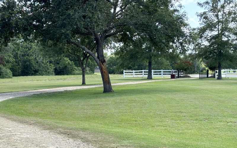 Rural Acreage Estate Perfect for Pictures!, Houston, TX | Production ...