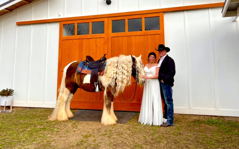 Mini Ranch on 3 acres with modern white barn and 3 horses, Fallbrook ...