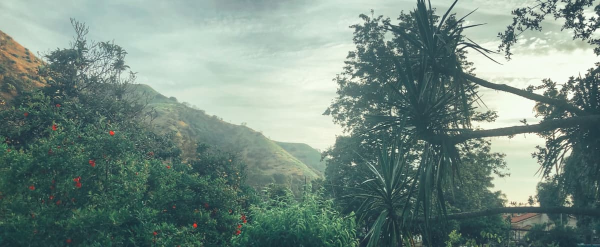 Orchard, Ranch, Farm, Secret Garden Location, Sun valley, CA ...