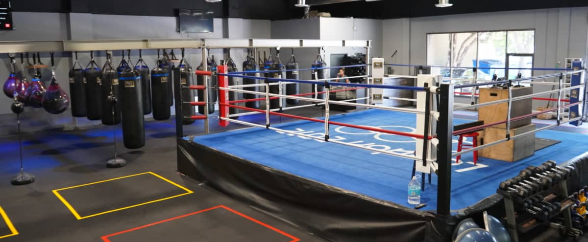 Downtown Boxing Gym with Great Space and lighting, Sacramento, CA ...