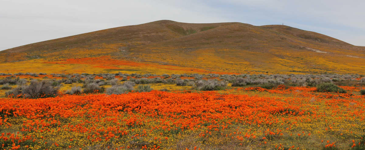 Desert Space with Vertical Cliff Wall, Lancaster, CA | Production ...