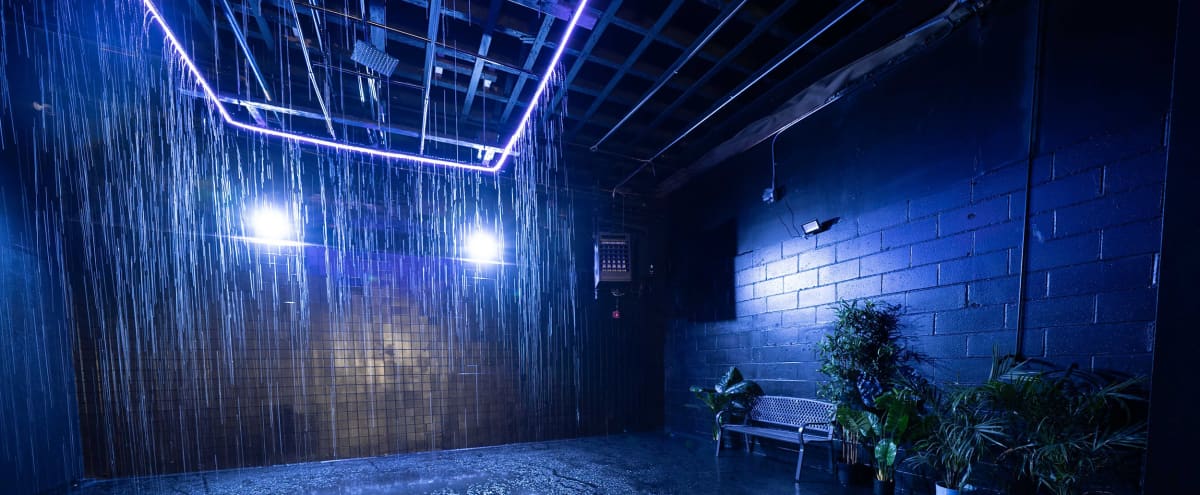 The famous Rain room features several different rain options and pre ...