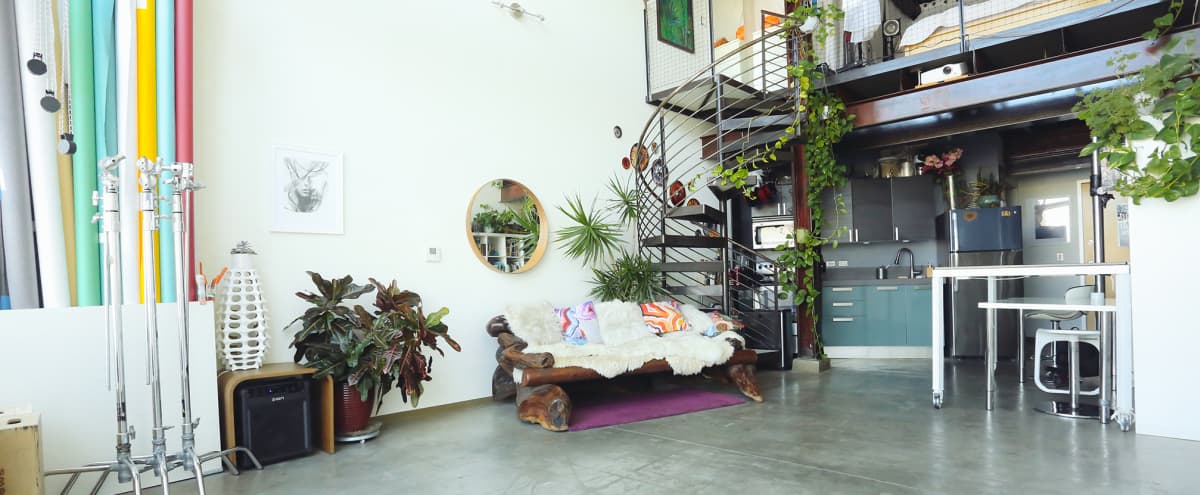 Bright Luminous Light Modern Photostudio Loft, Los Angeles, CA ...