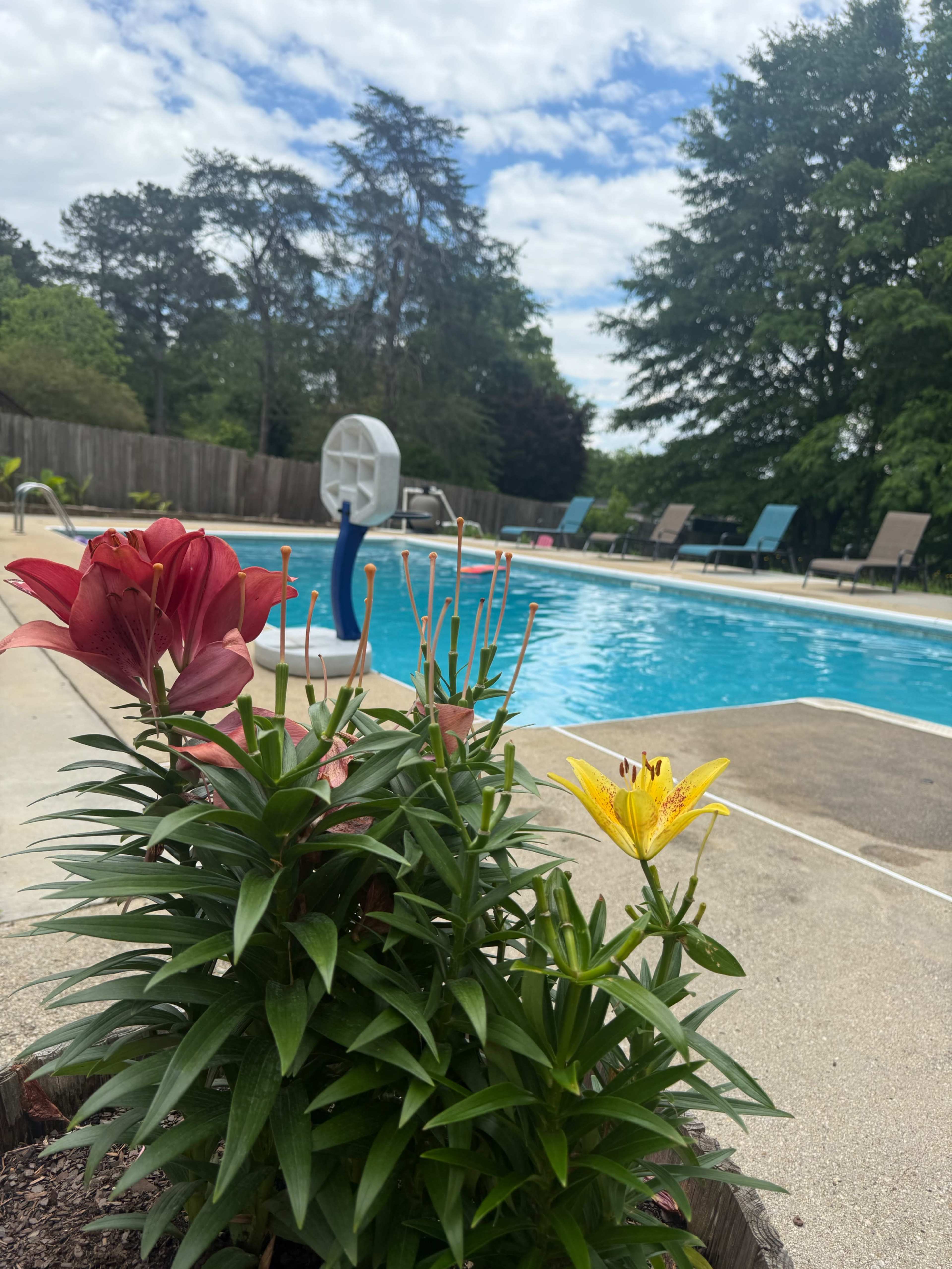 Maxine Manor | Blue pool summer fun, Douglasville, GA | Event | Peerspace