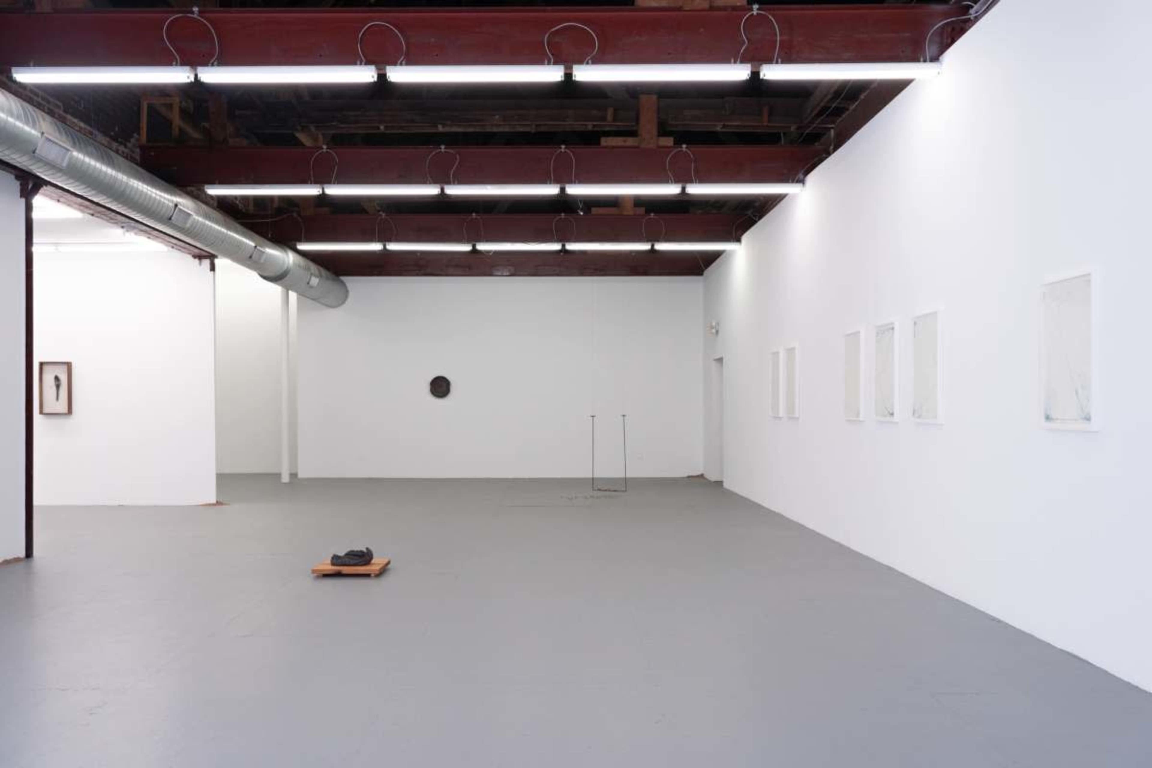 The Luminary | Gallery space with photo studio, concept store, AirBNB ...