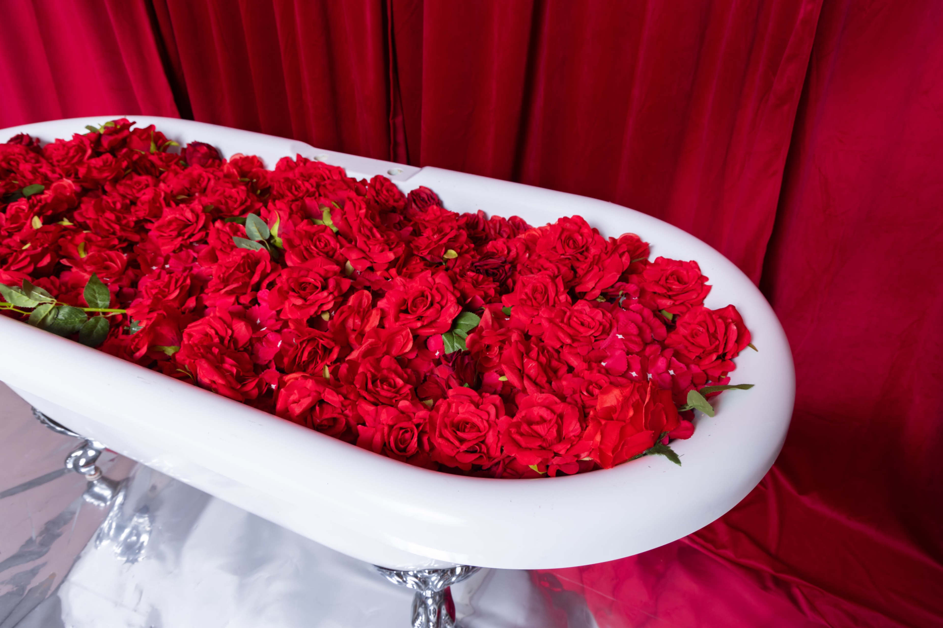 Multimedia Photography Videography Production Studio & Themed Content ...