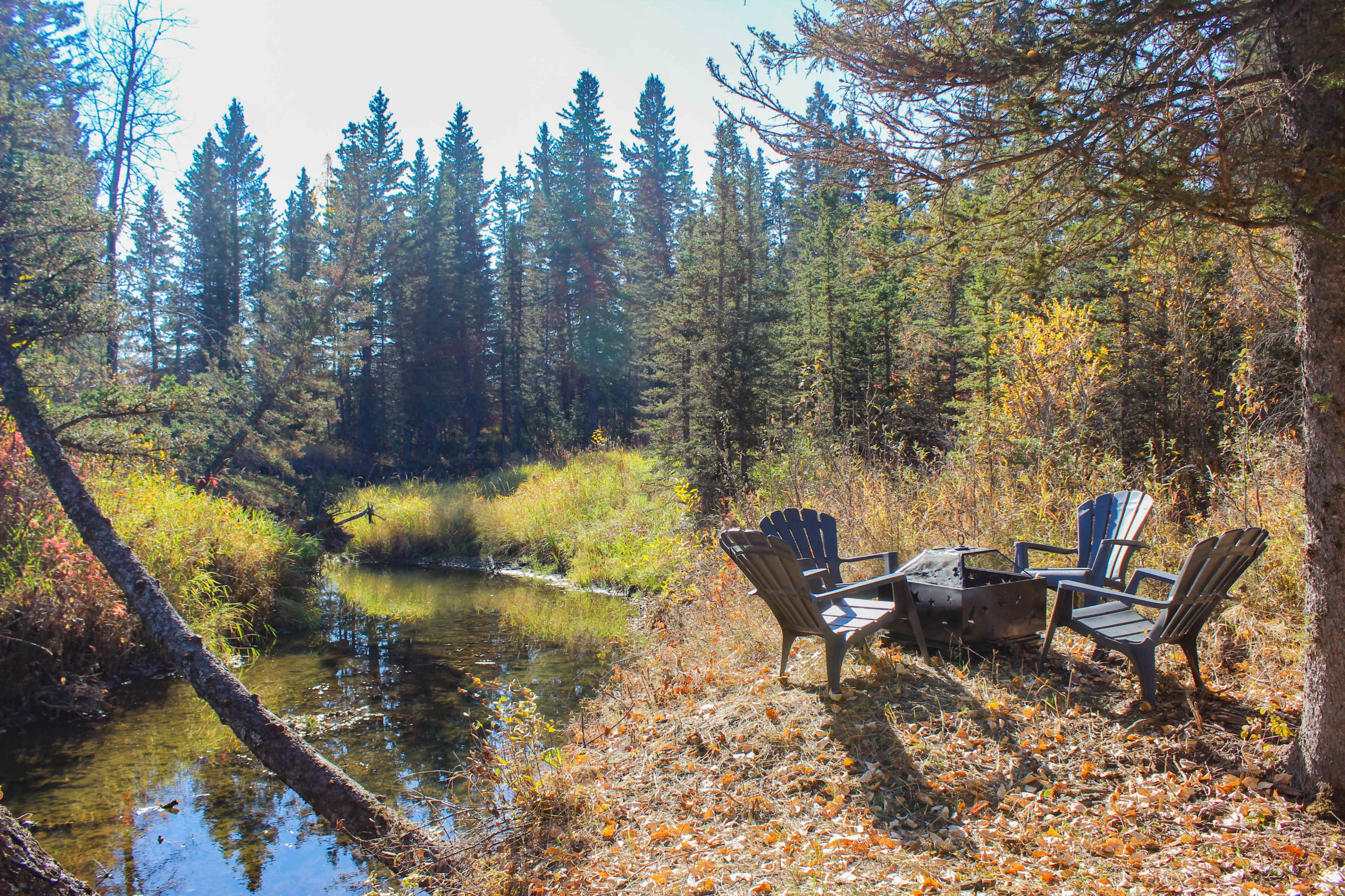 Country Paradise on 15 acres with a creek, forest, barn & pond, Priddis ...