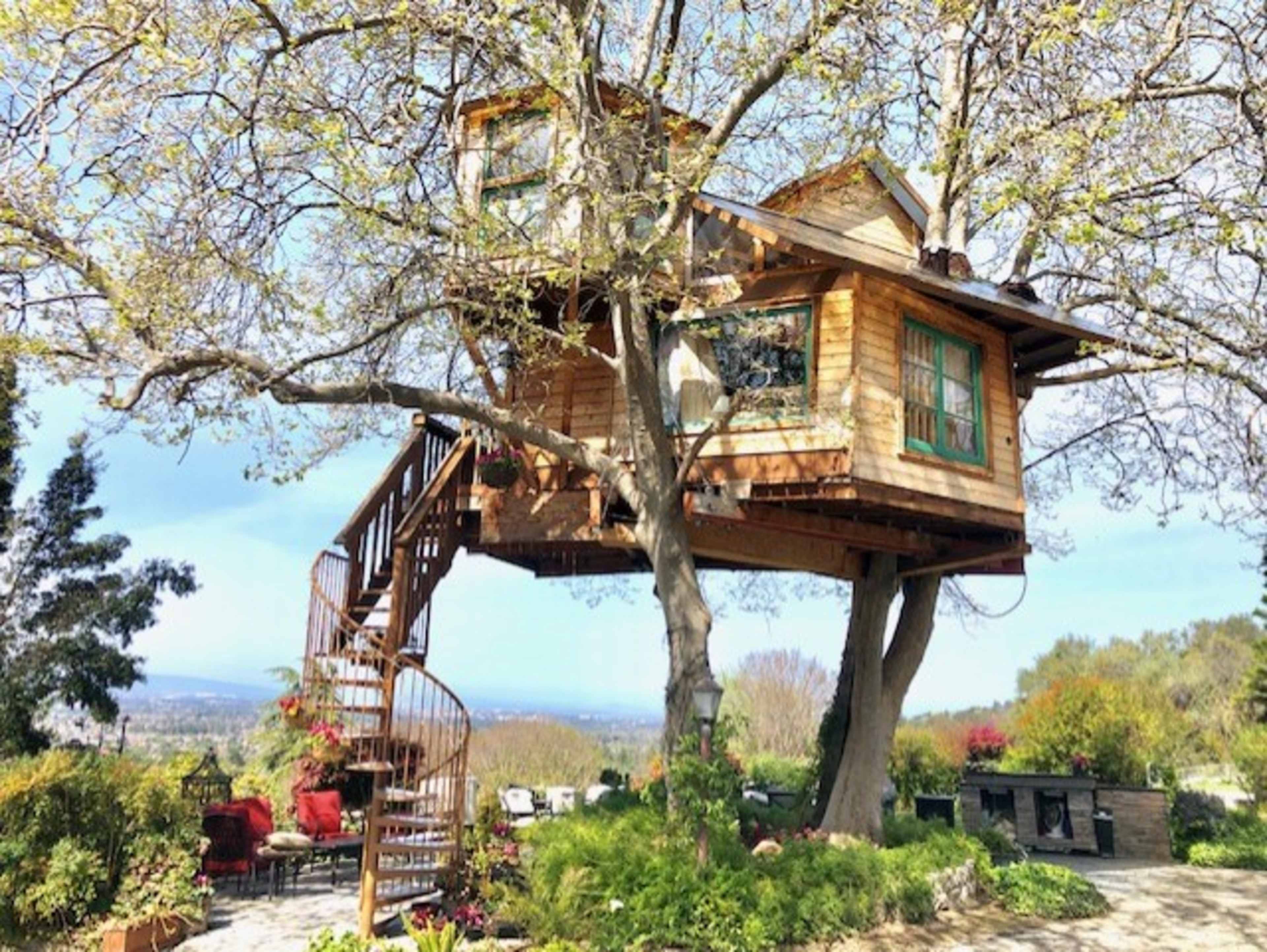 Treehouse Of Your Dreams!, San jose, CA | Production | Peerspace