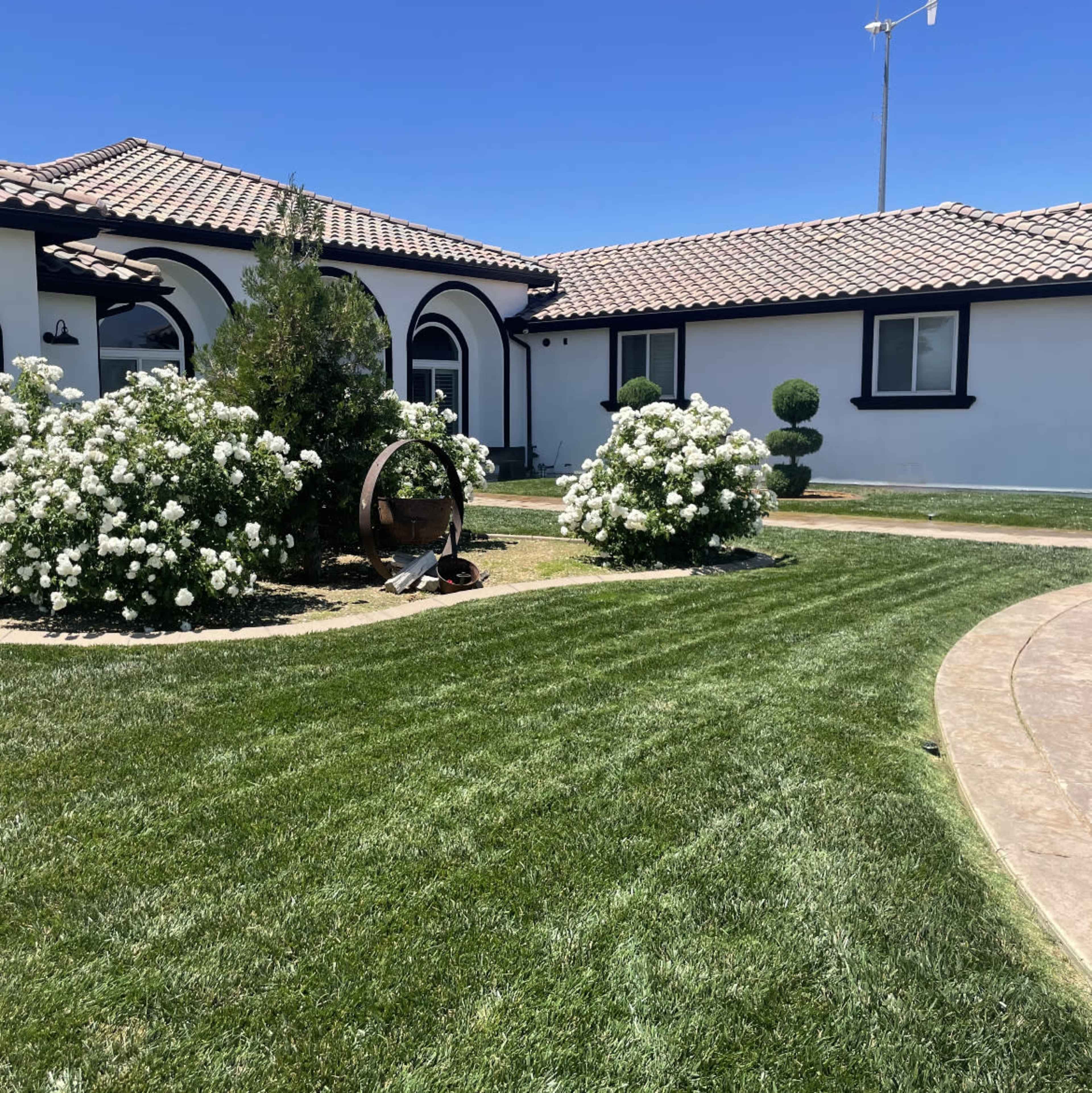 El Rancho De Rosas | White Rose Garden Venue, Phelan, CA | Event ...