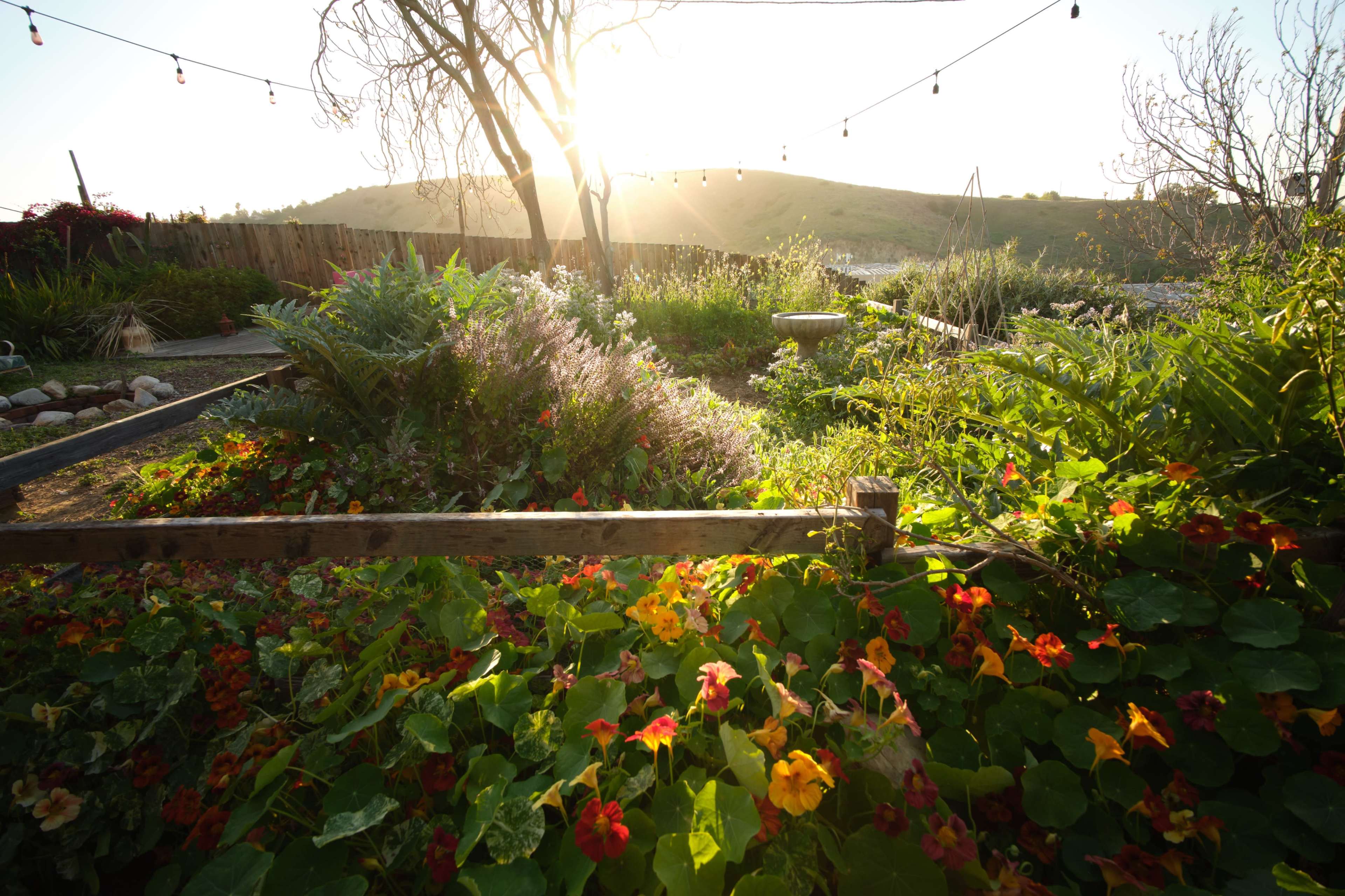 Urban Farm&Garden with Yurt and Greenhouse, Los Angeles, CA ...