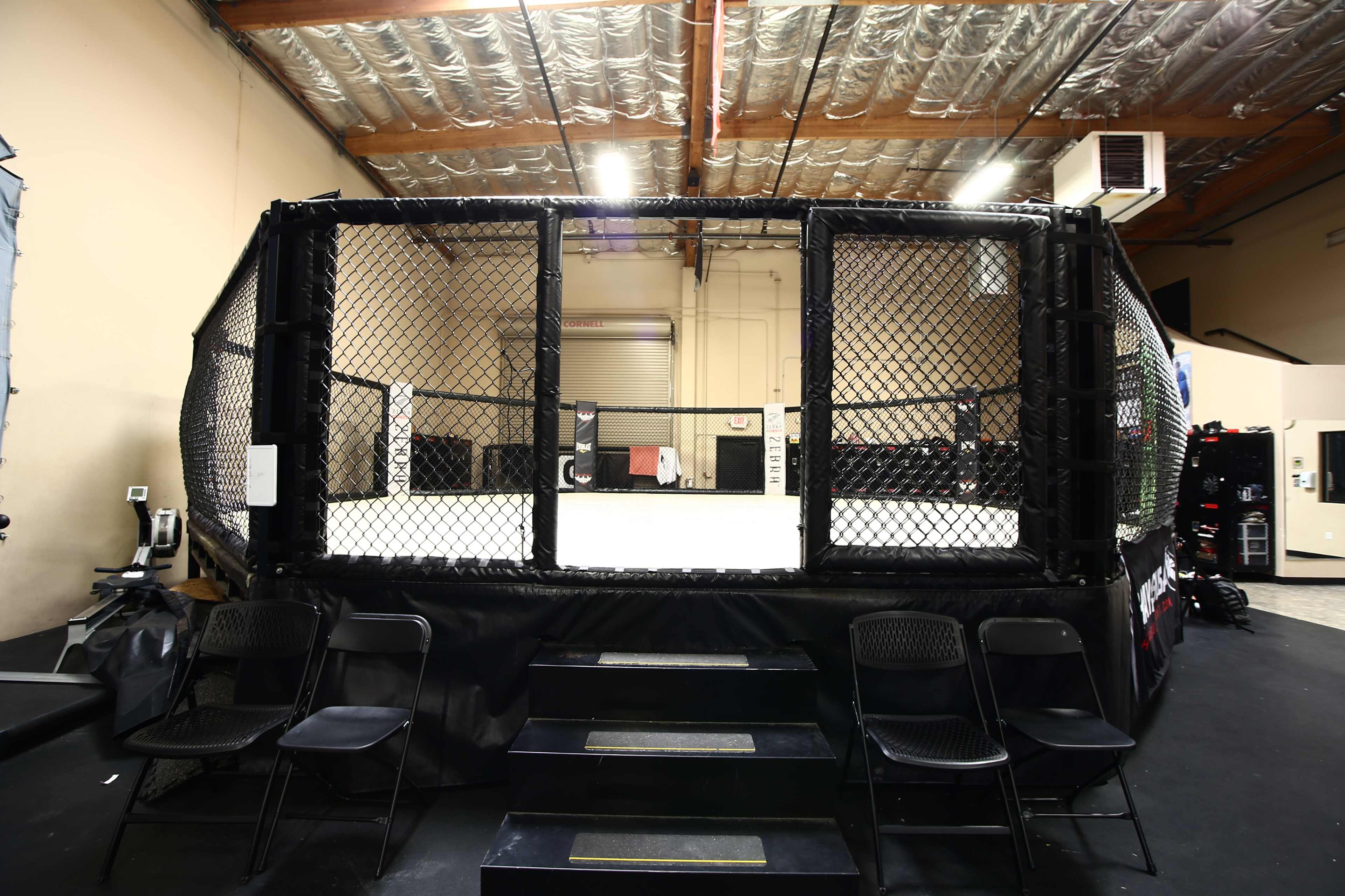 Training Octagon with World Class Amenities Minutes from the Strip, Las ...