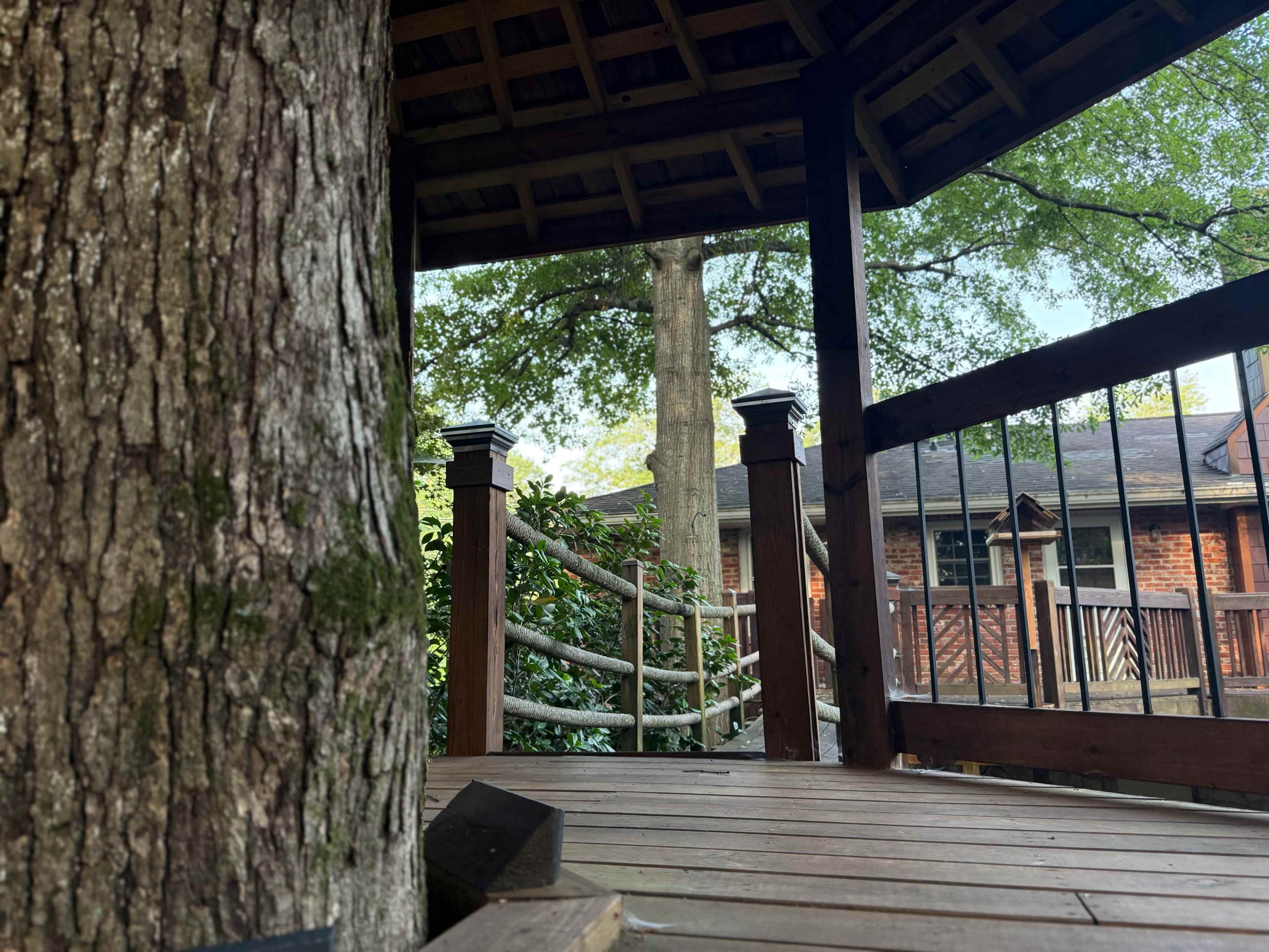 Intown Oasis Retreat | Magical Intown Backyard Oasis with Treehouse ...