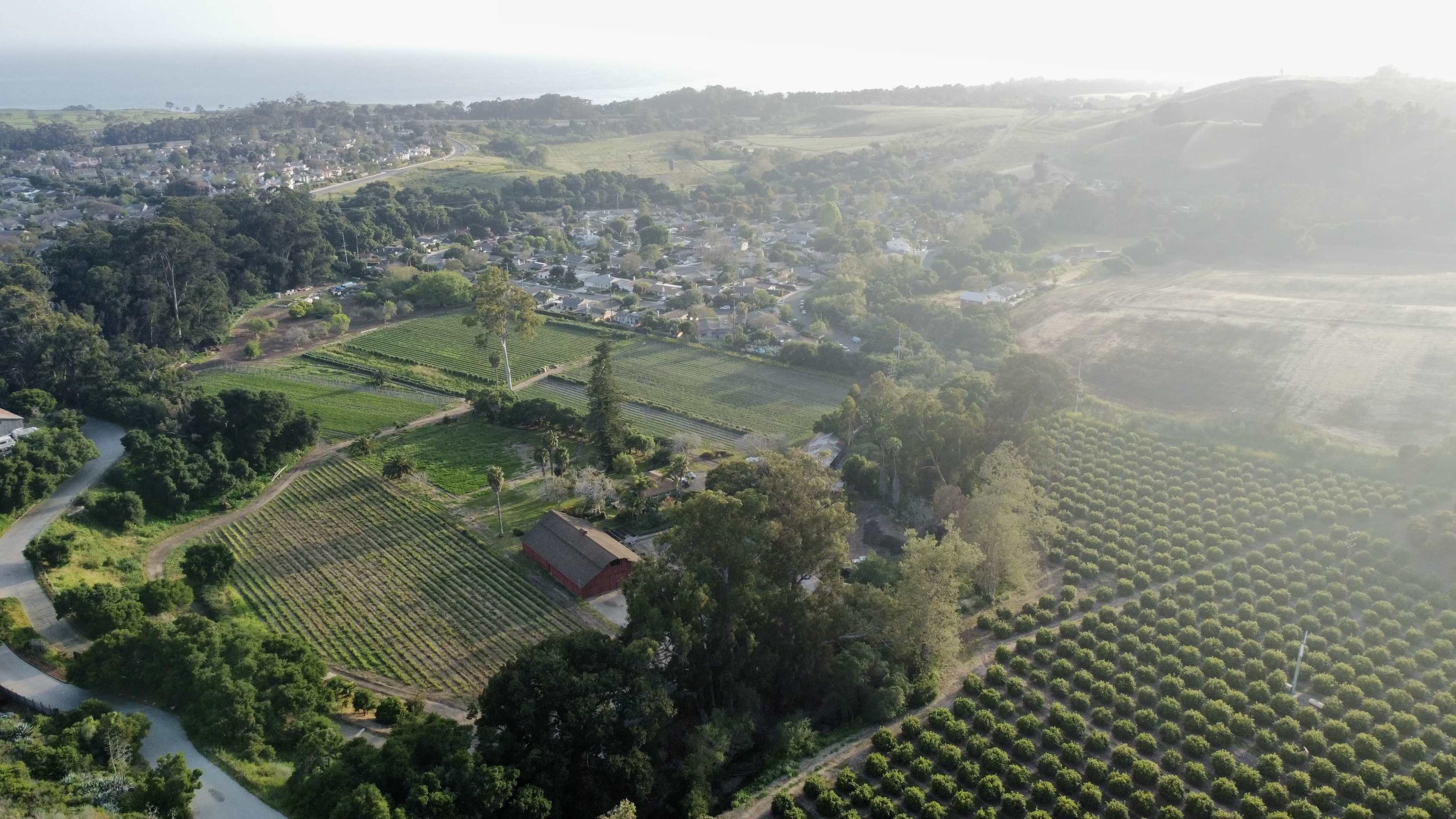 Rad Ranch | The Rad Ranch. Goleta the Goodland, California, Goleta, CA ...