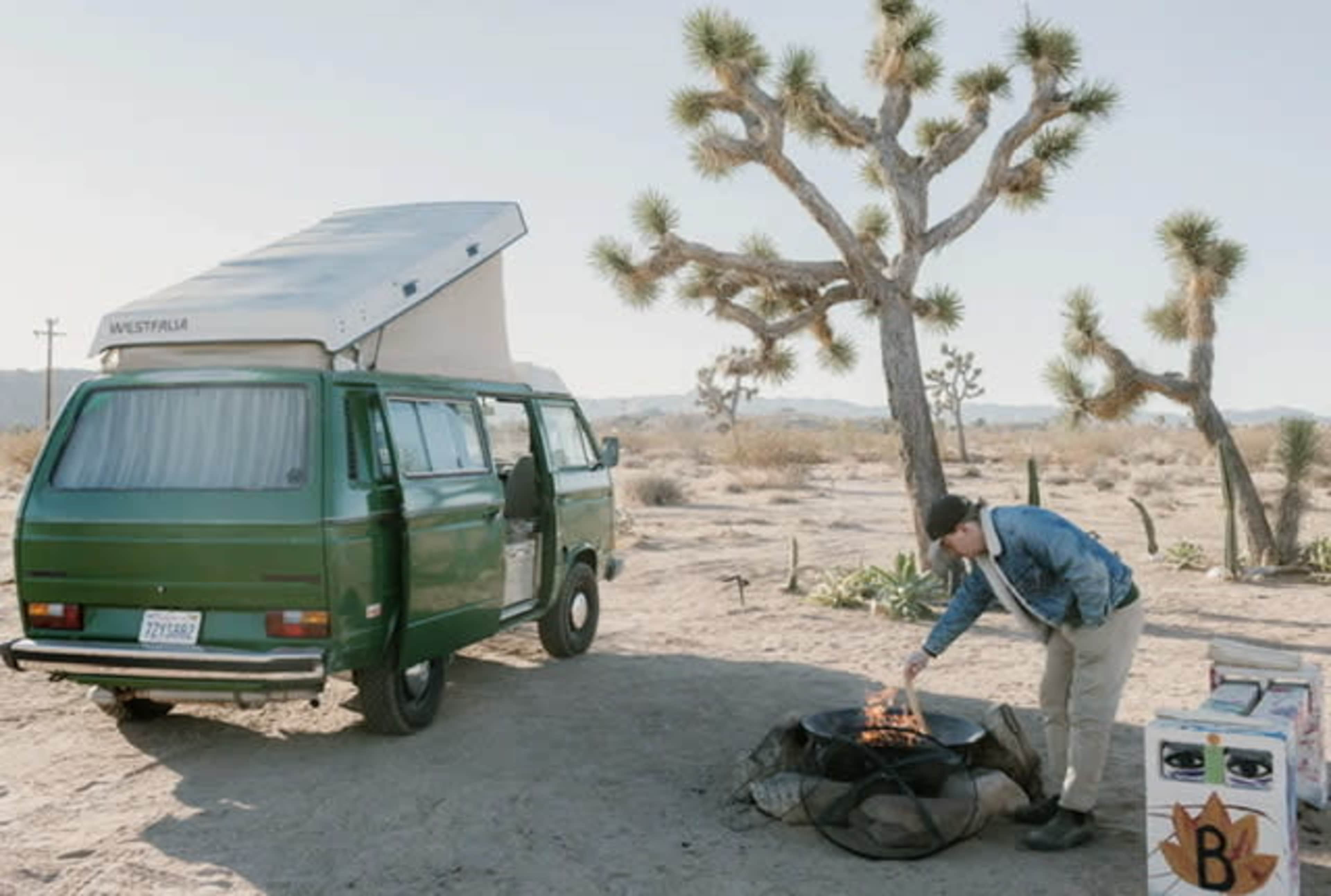 Joshua Tree Oasis, Joshua Tree, CA | Production | Peerspace