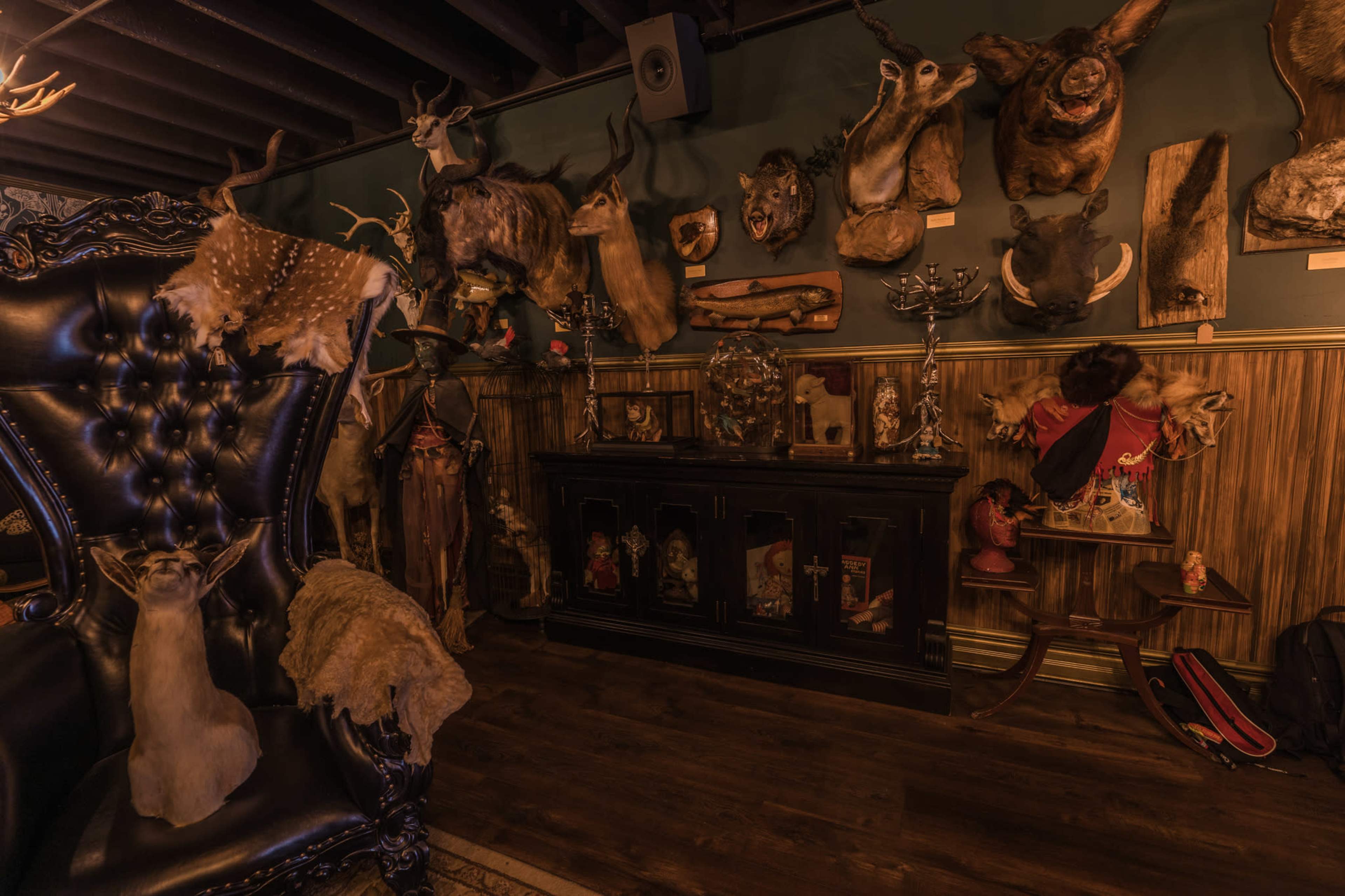 Vulture Culture Oddities | Eclectic, Vintage room with taxidermy and oddities, Burbank, CA ...