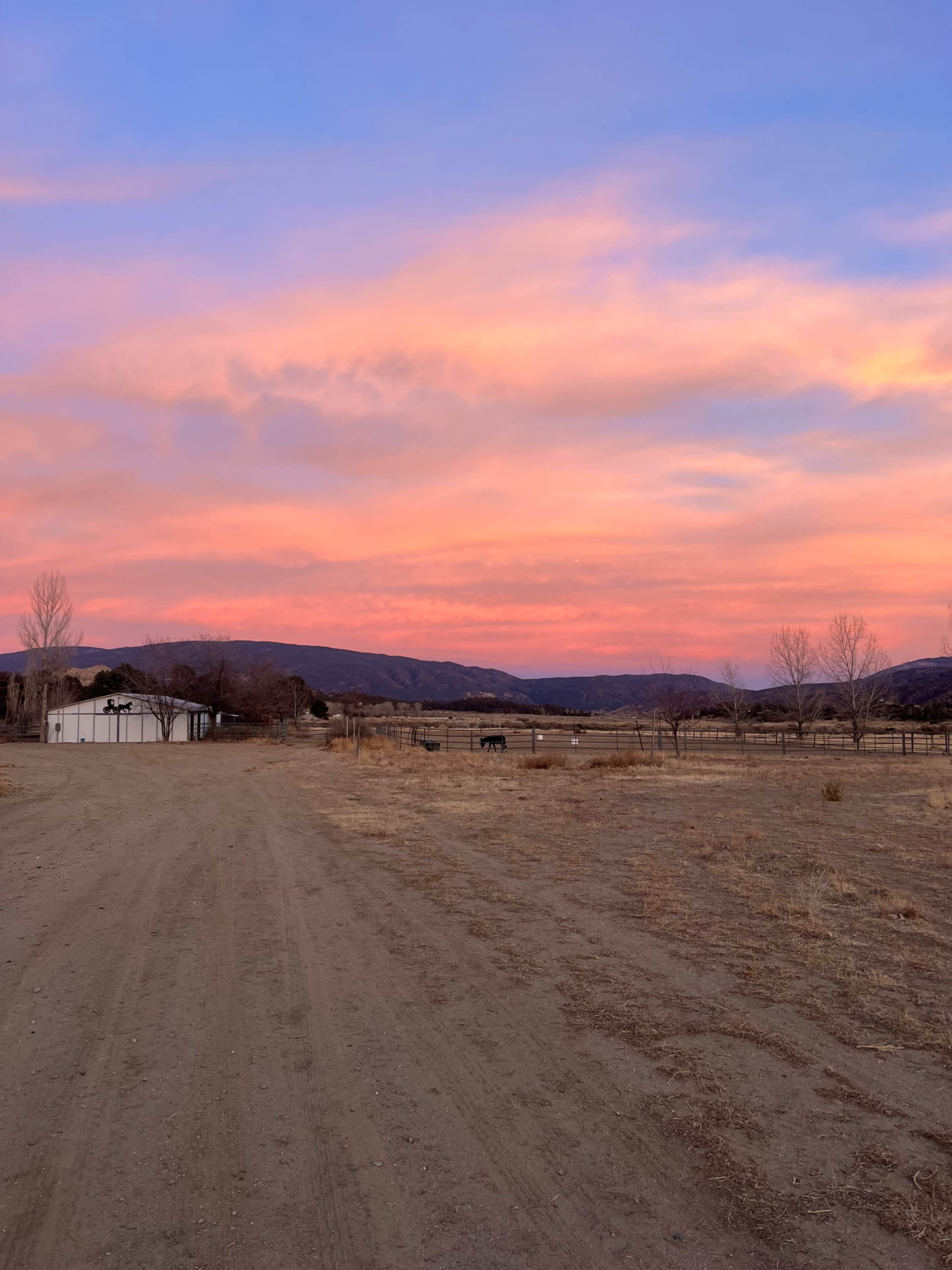 Rural Western Ranch on 40 acres with Airplane Hangar, Horse Facilities ...
