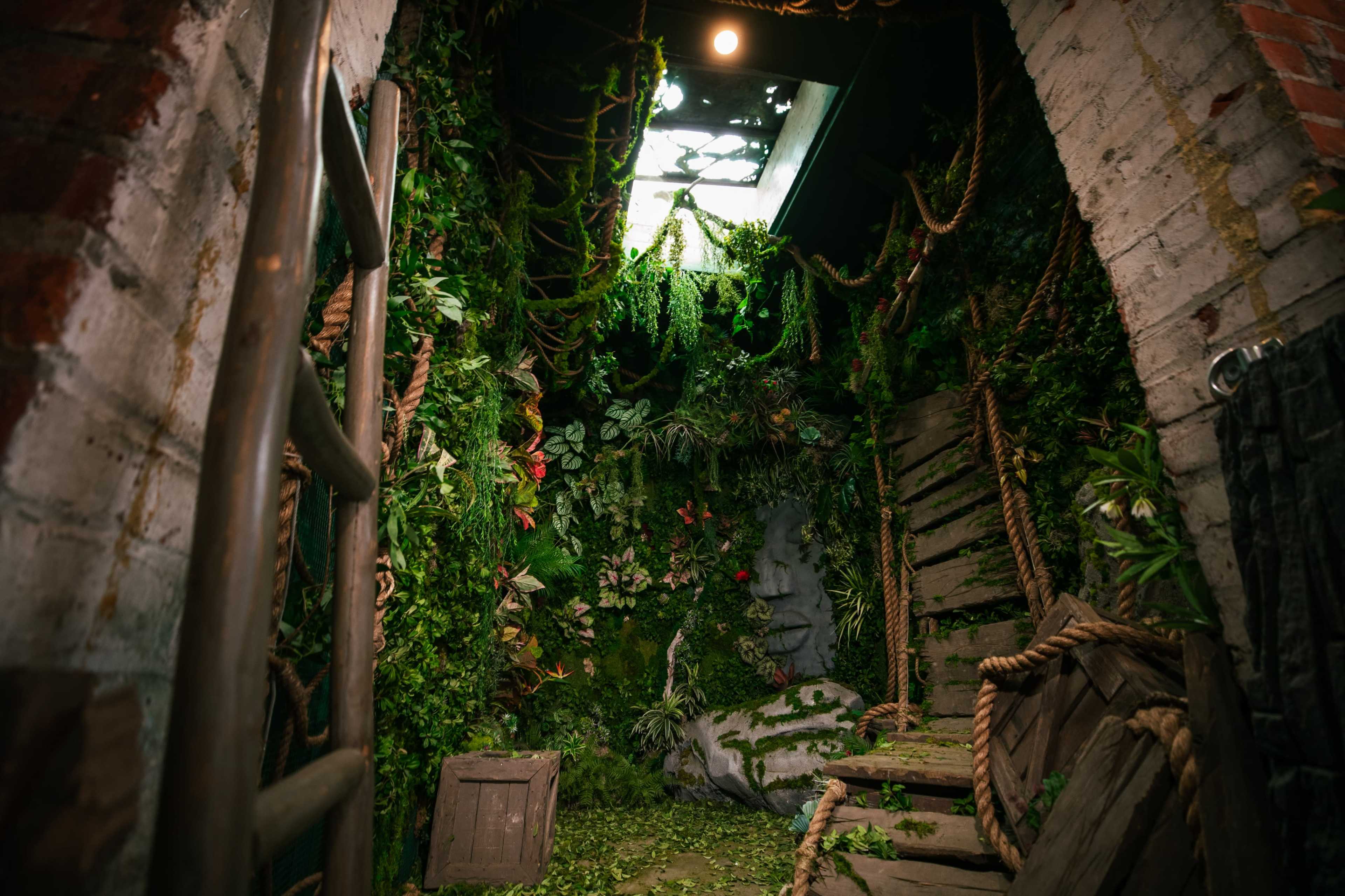 The Jungle Room, Los Angeles, CA | Production | Peerspace