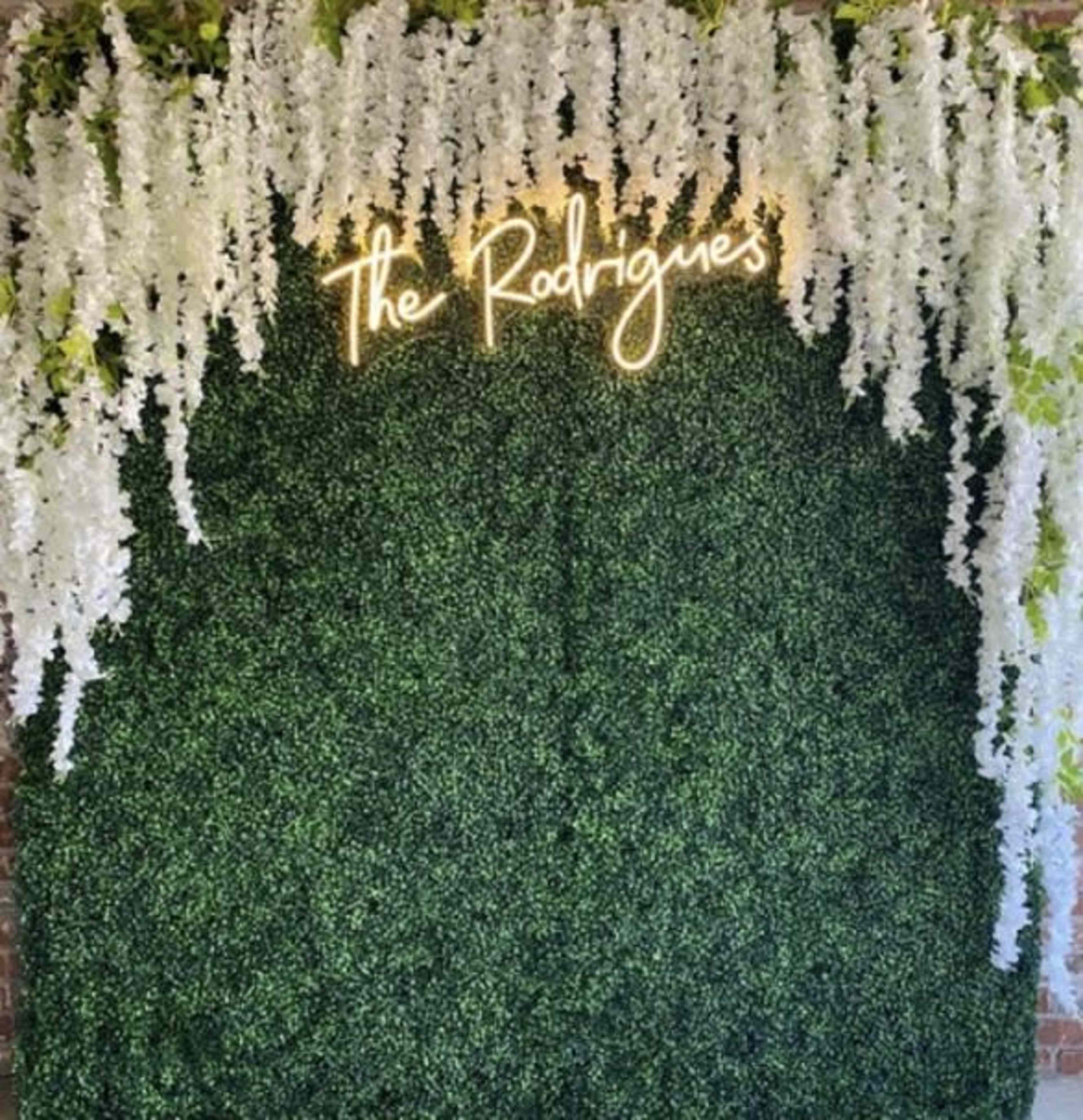 Beautiful house with wall drop backyard, Austin, TX | Event | Peerspace