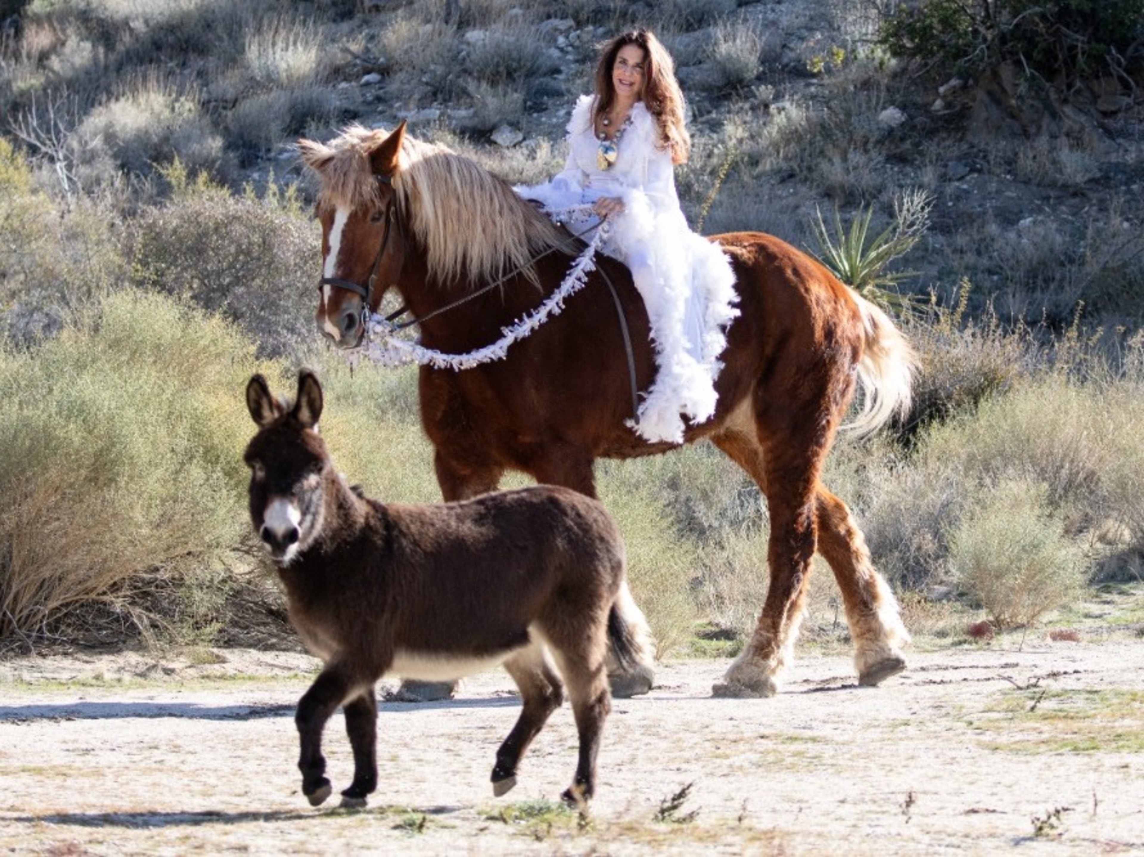 Secluded Rustic Good 'Ol Western Desert Ranch With Scenic Mountain ...