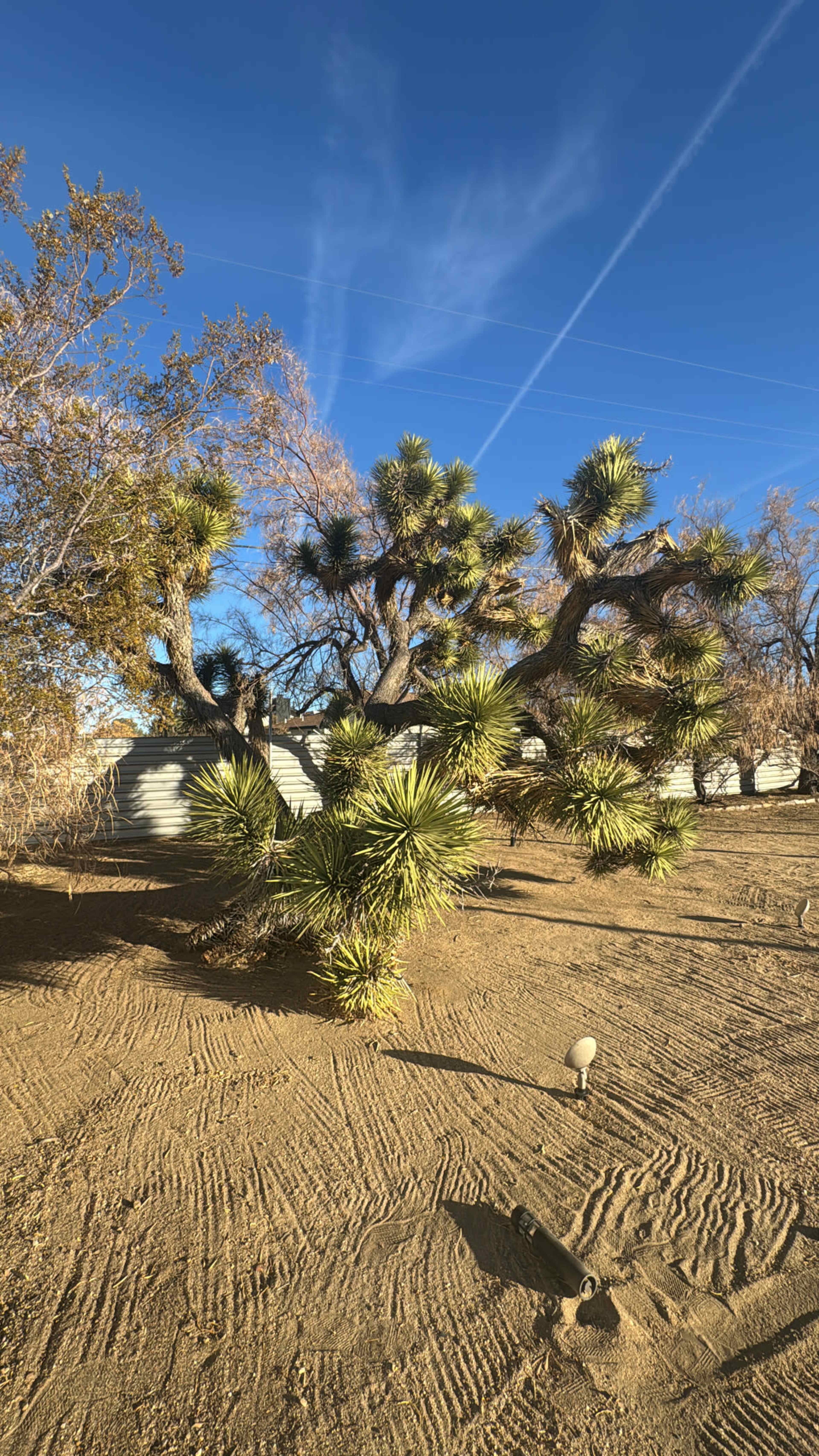 Desert Sunset Oasis, Yucca valley, CA | Production | Peerspace
