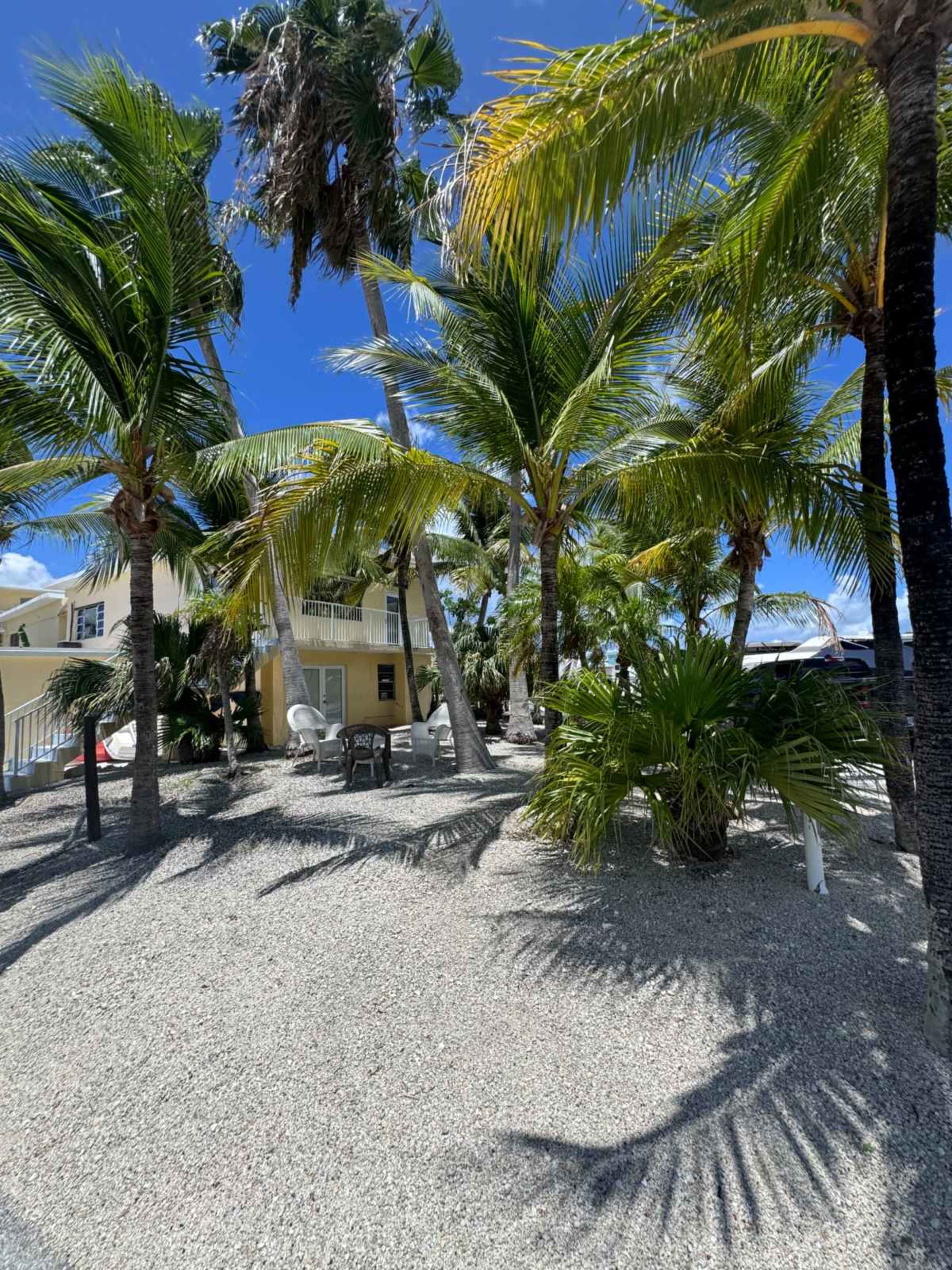 Hidden Key Marina | Vintage Florida Keys Marina with 2 Classic Yachts ...